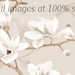 Soft Beige Chinoiserie Floral Tree Mural, Peel and Stick Custom Wall ...