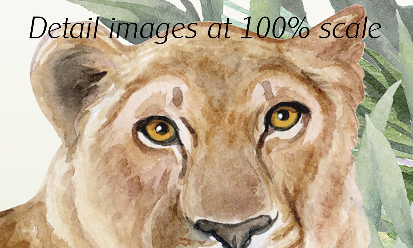 Group of Cute Green Forest Animals Hand Drawn Watercolor - Etsy