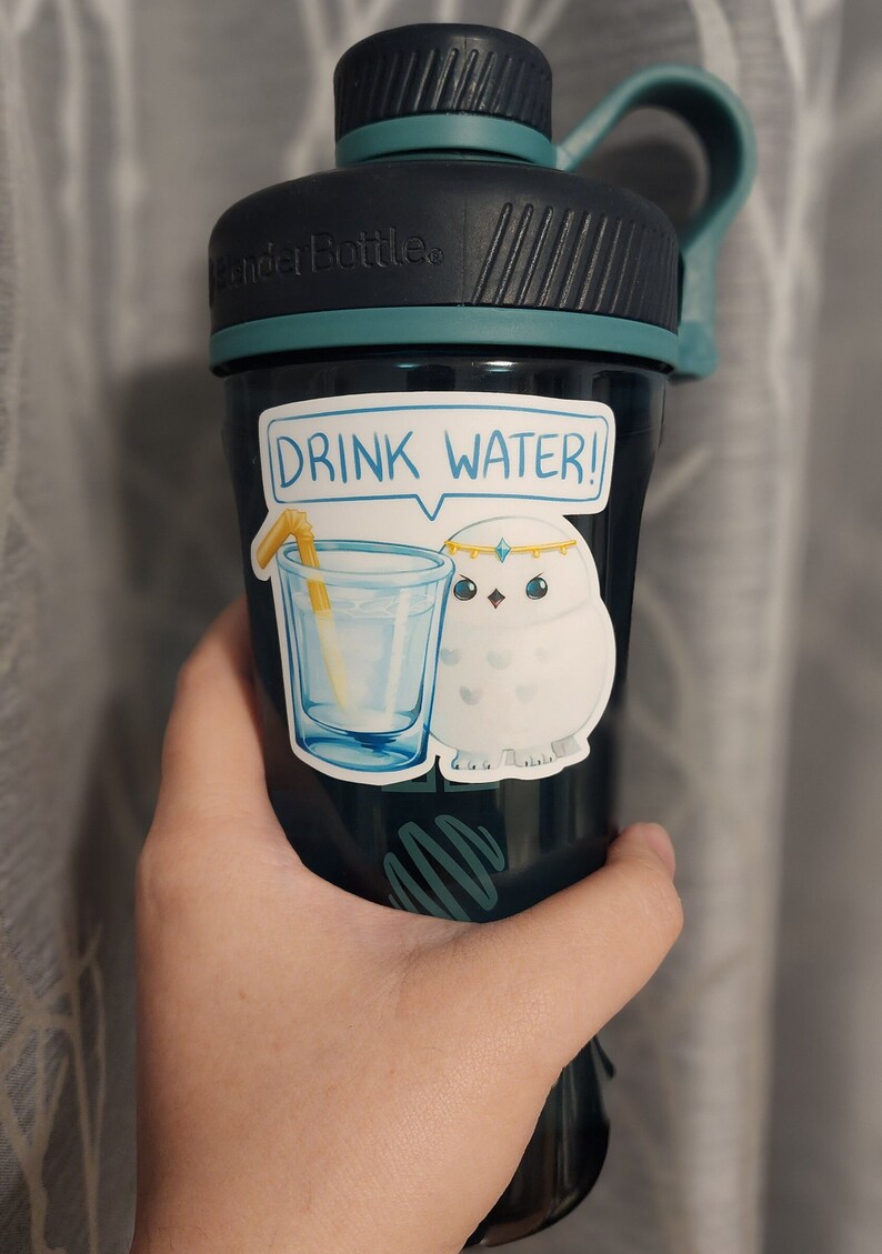 Drink Water Motivation Meme Dye Cut Vinyl Sticker 3 Owl Stickers ...