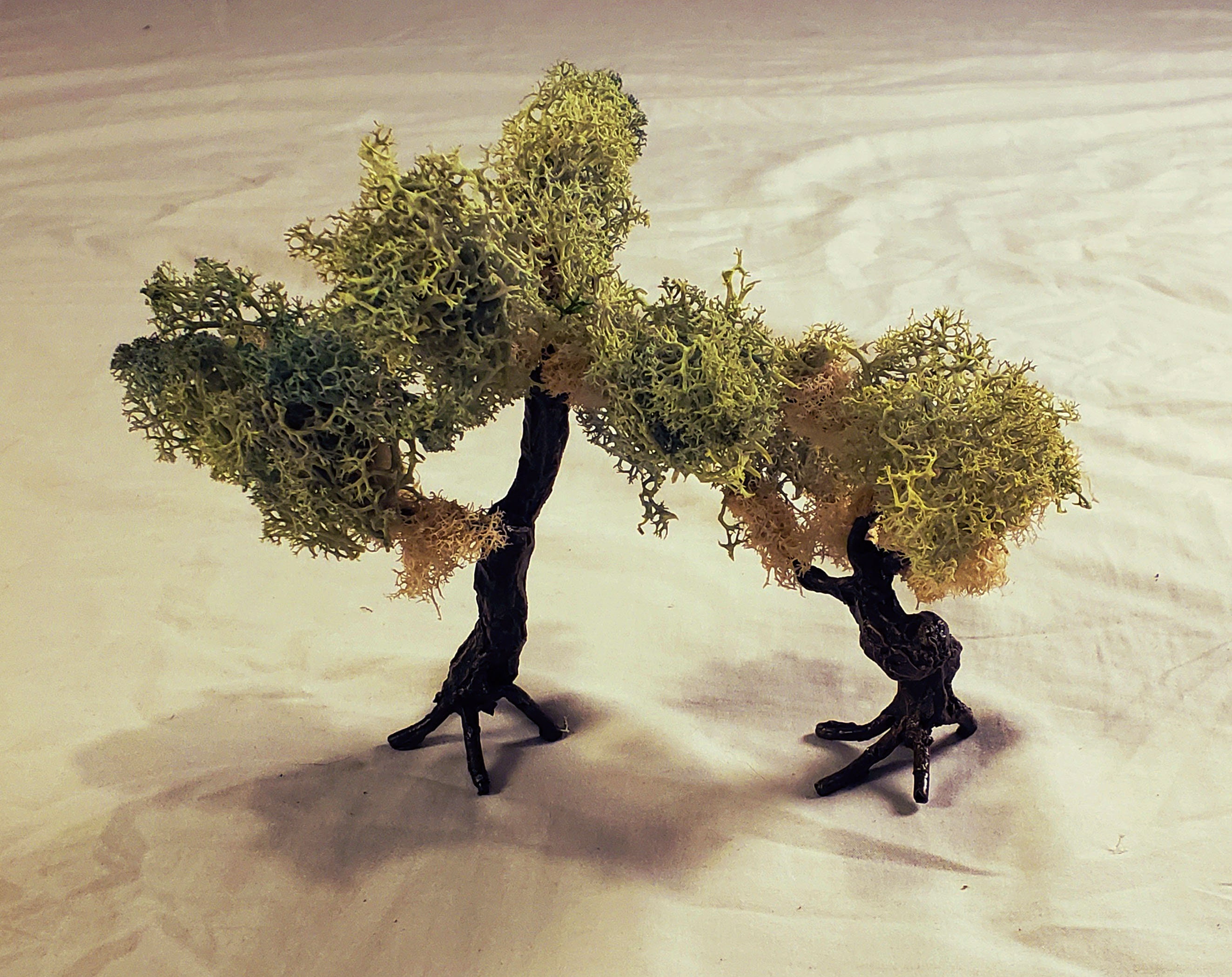 War Gaming Model Trees Handmade With Real Moss - Etsy