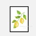 Lemons Prints Set of Two Wall Art Watercolor Print - Etsy