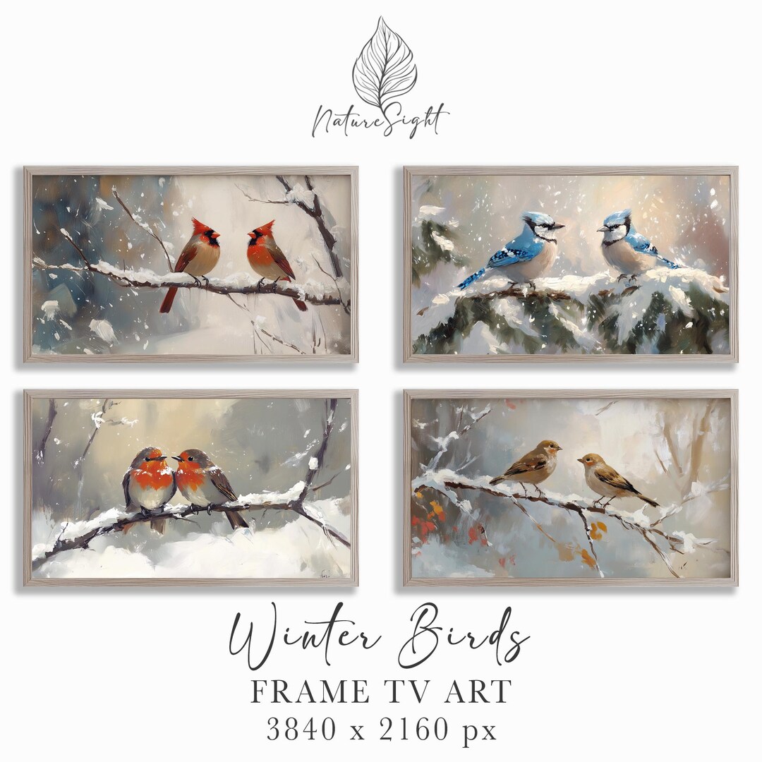 Winter Birds Frame TV Art | Snowy Bird Digital Screensaver | Samsung ...
