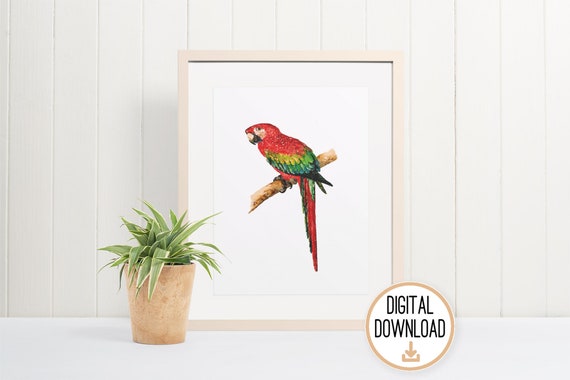Red Macaw Art Print Watercolor Painting Printable Wall Art | Etsy