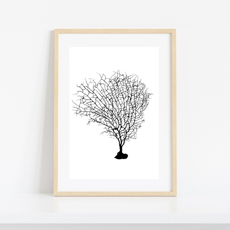 Sea Fan - Etsy UK