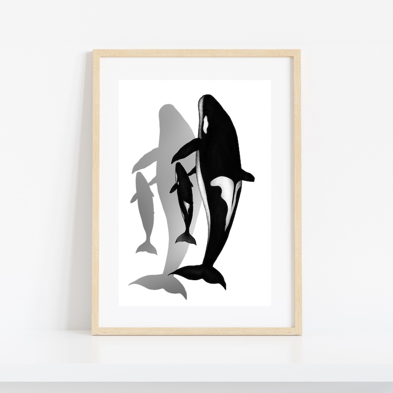 Orca Art Print Whale Wall Decor Orca Wall Art Killer - Etsy Australia