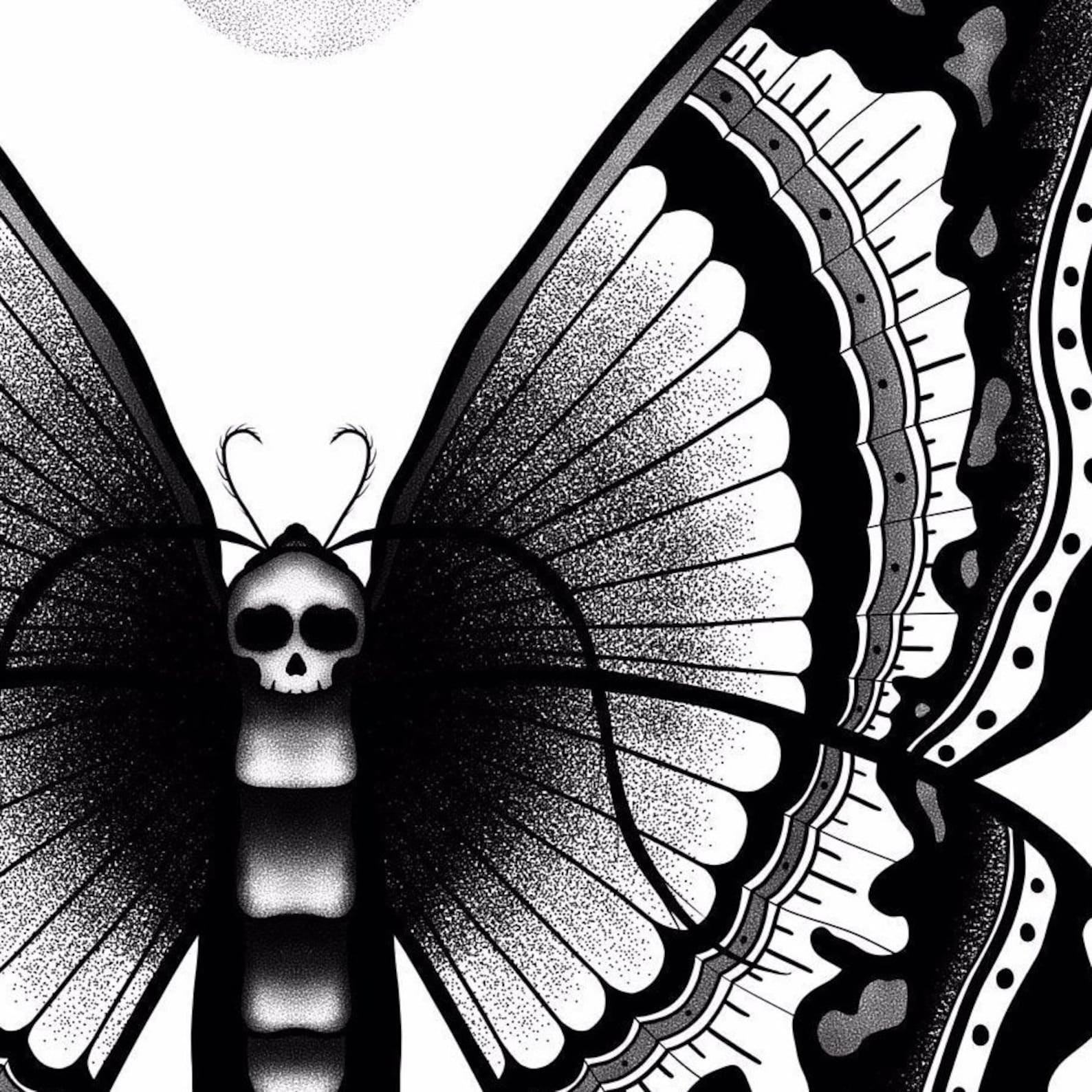 Moth Art Print Death Moth Moth Drawing Skull Moth Tattoo Moth - Etsy