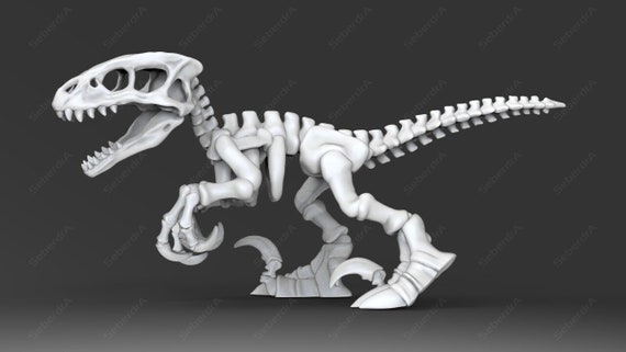 Raptor Skeleton 3d Model Paleo Illustrata: Utilising A Commercial