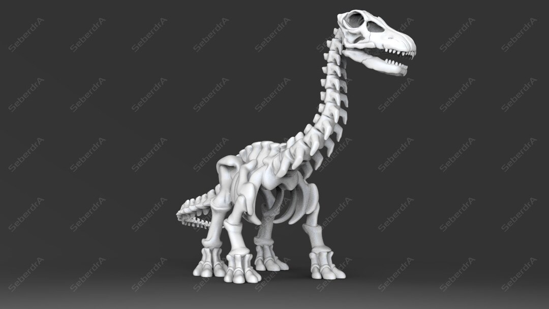 3D Model of APATOSAURUS Skeleton STL for 3D Print - Etsy