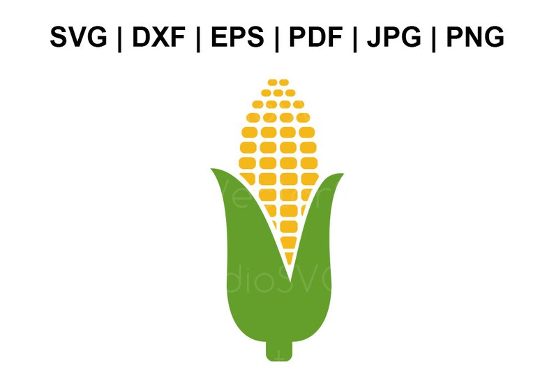 Corn Svg Corn Stalk Svg Harvest Cut Files Svg Dxf Eps Pdf - Etsy