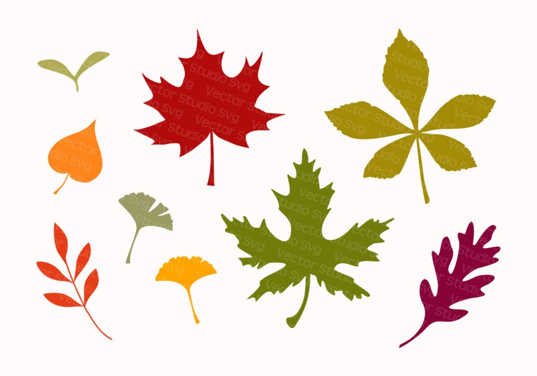 Fall Leaves SVG Bundle | 9 Autumn Leaf Cut Files | DIY Foliage ...