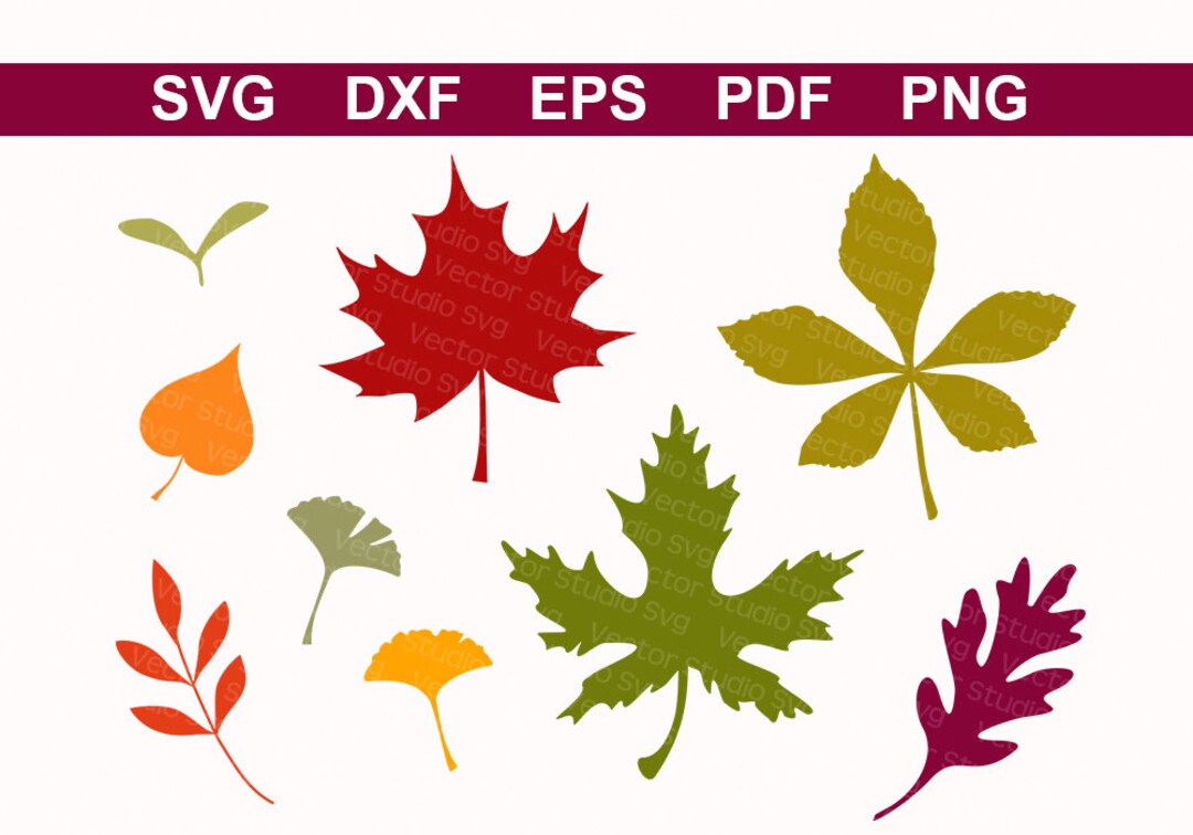 9 Fall Leaves Svg Bundle Autumn Leaf SVG Silhouette Svg Cut - Etsy