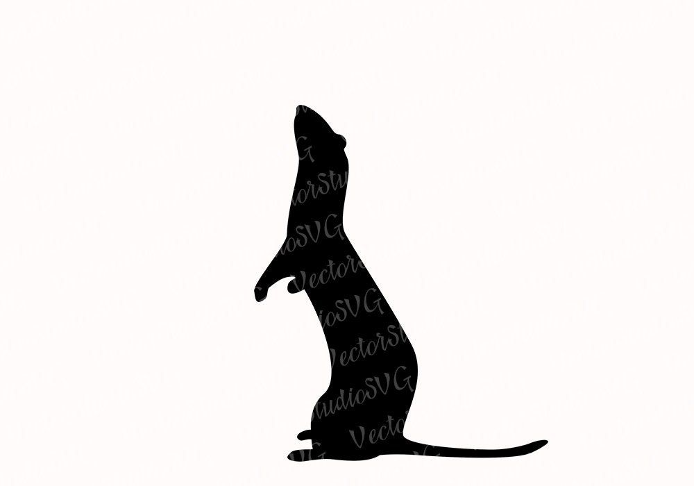 Ferret Svg Weasel Svg Animal Silhouette For Commercial Use Die | Etsy