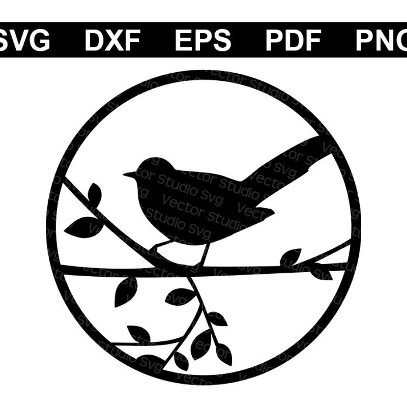 Humming Bird Svg - Etsy
