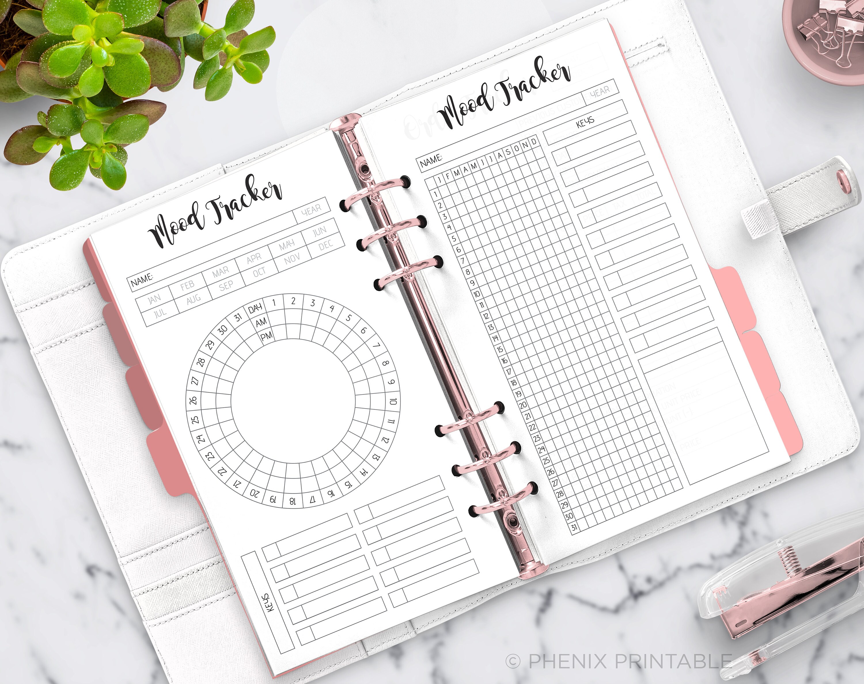 Mood Tracker Mensual Anual Mood Chart Bullet Journal Mood | Etsy