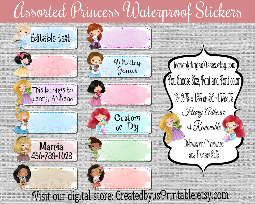 Princess Dishwasher Safe and Waterproof Kid's Labels Name Stickers ...