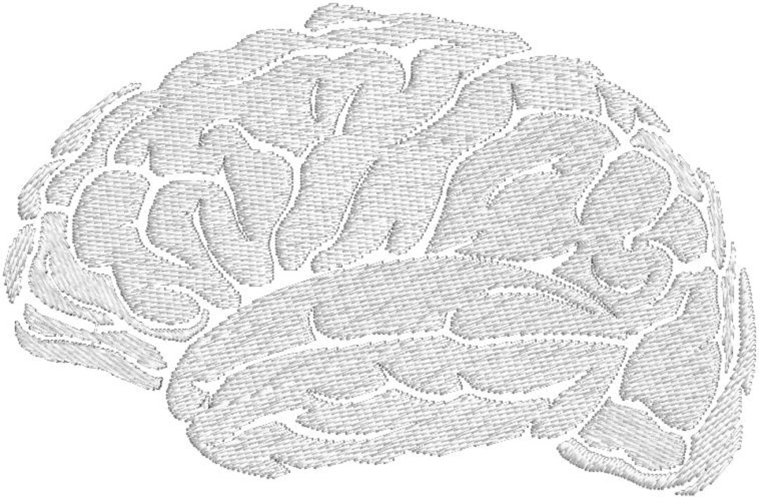 Full Brain Embroidery Design - Etsy
