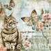25 Printable CAT PAGES / Junk Journal / Animals Scrapbooking Paper ...