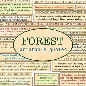 Huge Printable QUOTE BUNDLE (36 Pages) / Cut Out Ephemera / Journal ...