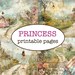 25 Printable PRINCESS Themed PAGES / Romantic Junk Journal ...