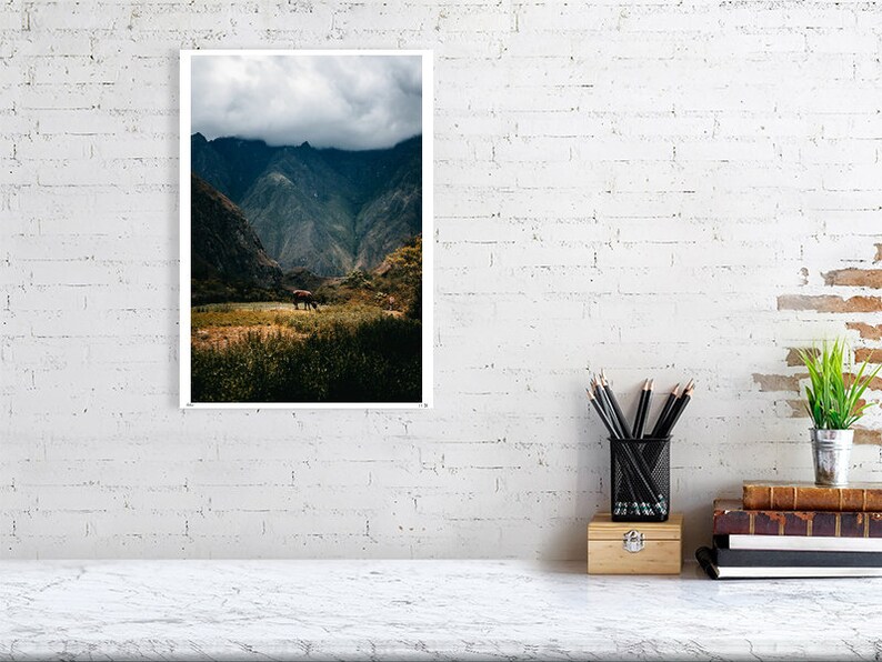 Limited Edition Fine Art Print of a Bull Grazing in the Peruvian Andes ...