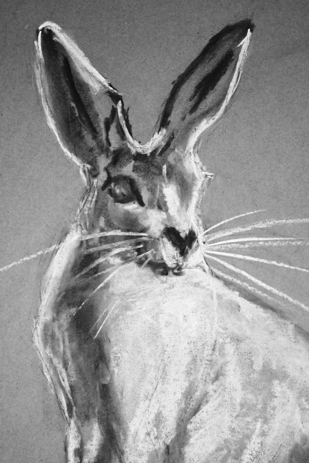 March Hare - Etsy