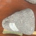 1178 Small Hand Ax and Hammer Stone Used by Paleoindian People Who ...