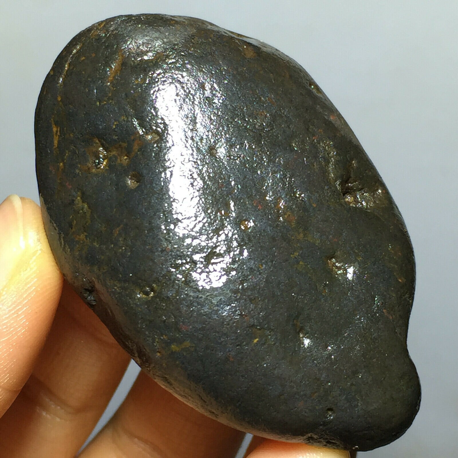 438 Awesome Ataxite Meteorite Weighs Only 122 Grams but Has | Etsy