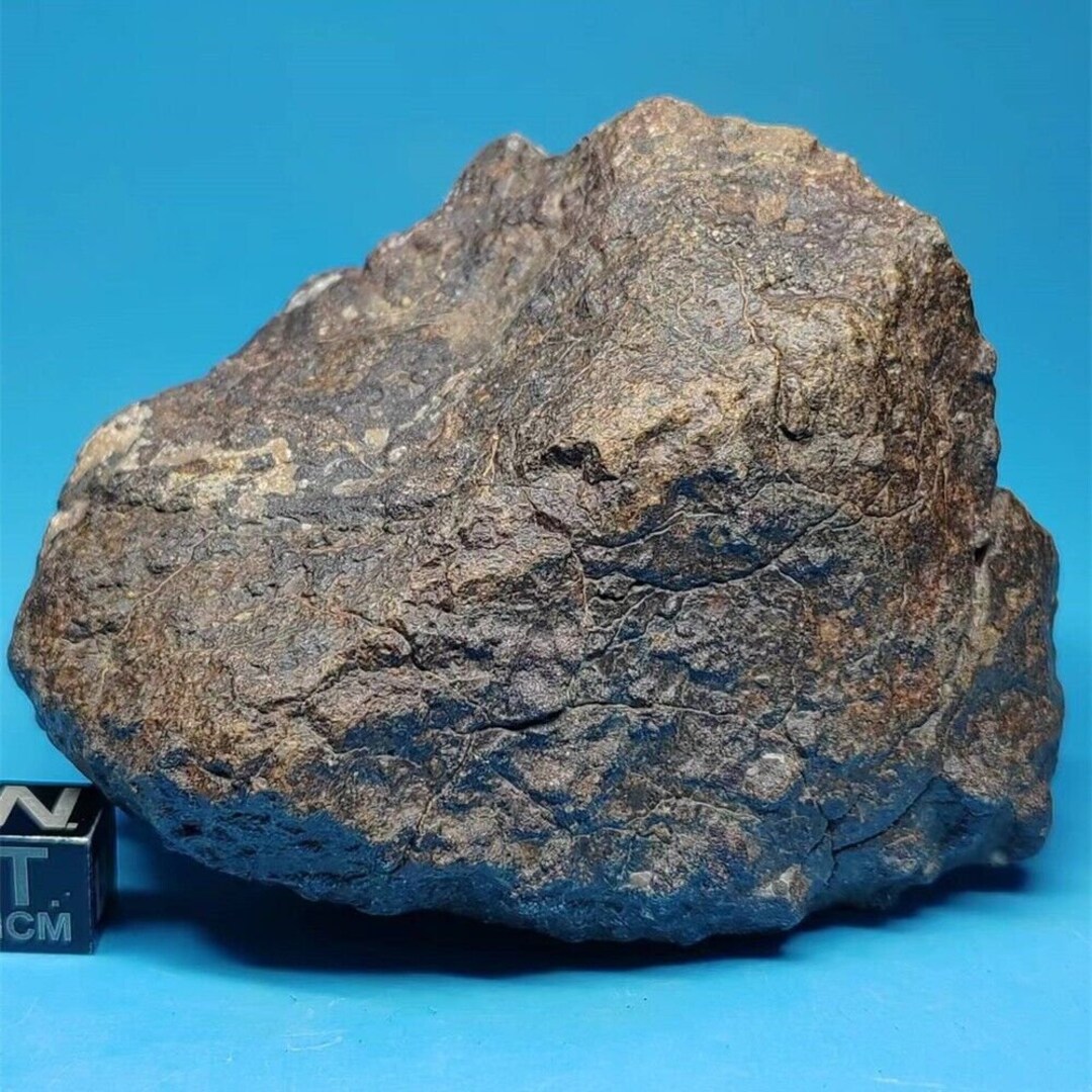 1457 258.6g NWA Northwest Africa Chondrite Meteorite Fusion Crust and ...