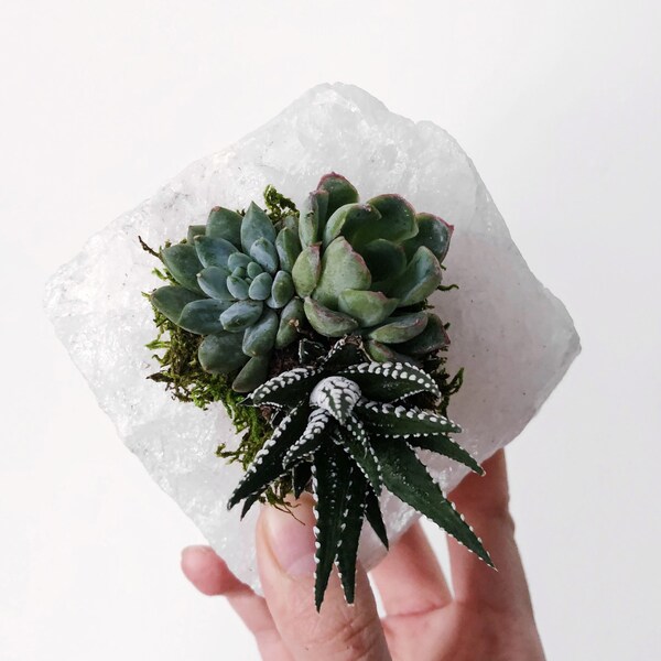 Crystal Planter - Etsy