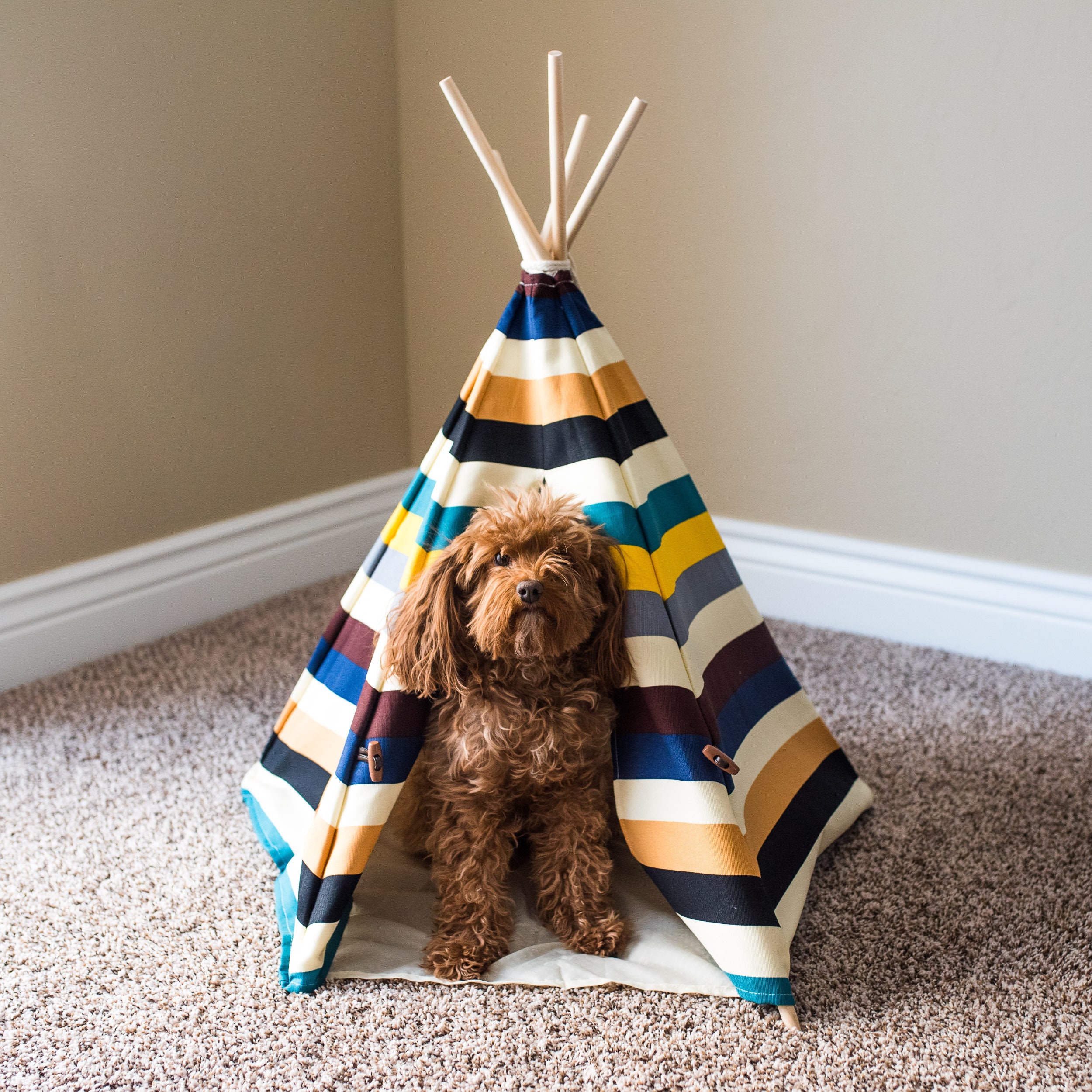 Pet Small Teepee Tent - Etsy