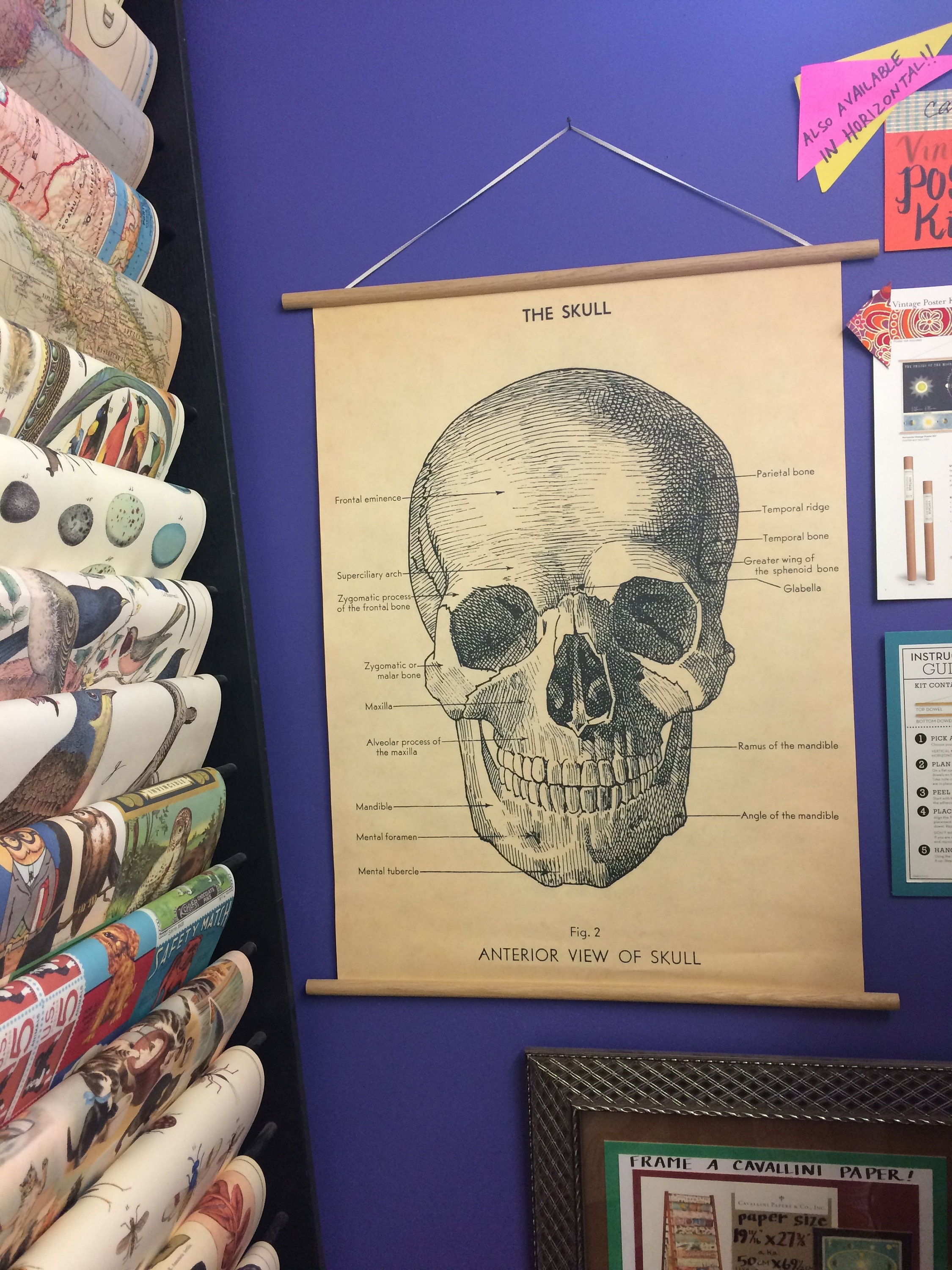 Cavallini Decorative Wrap Color Chart | Etsy