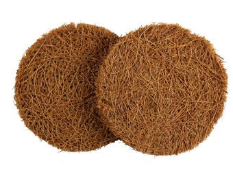 Coconut Scrubber - Etsy