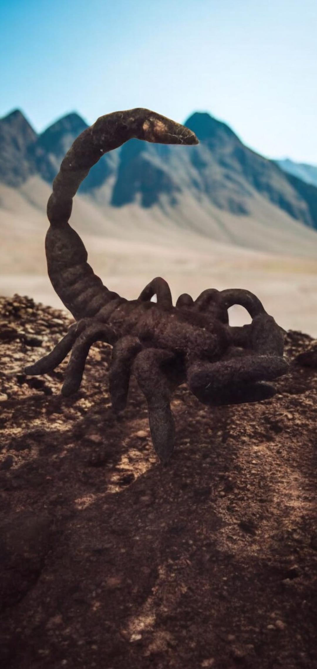 Needle Felted Scorpion - Realistic Felted Emperor Scorpion Decor - Etsy