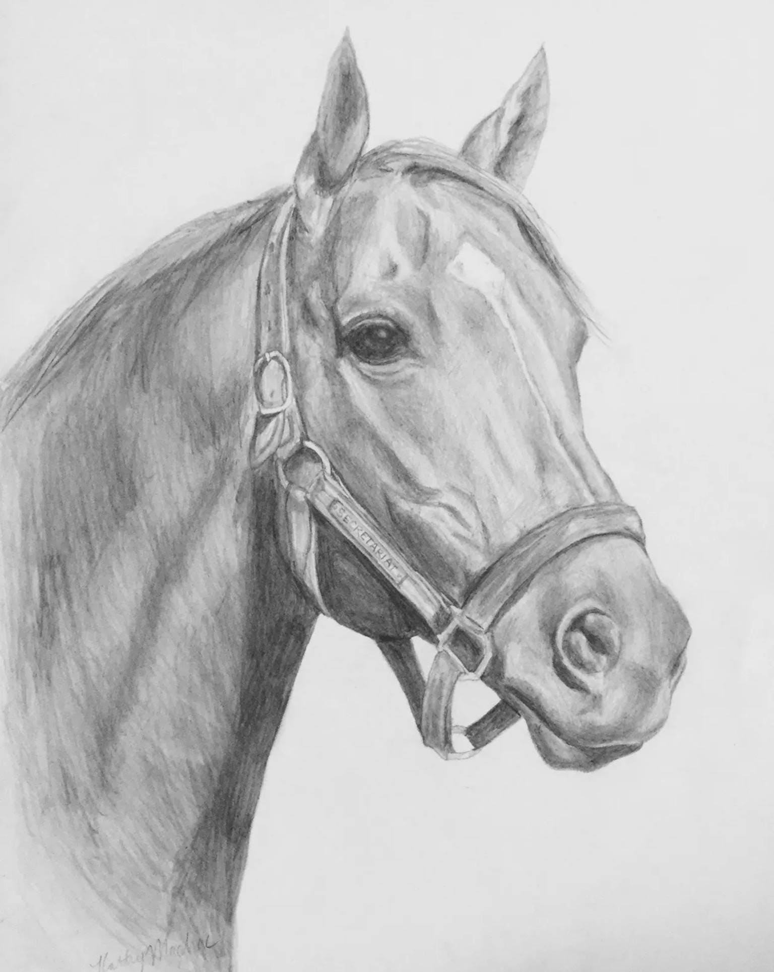 SECRETARIAT Portrait Art Print - Etsy