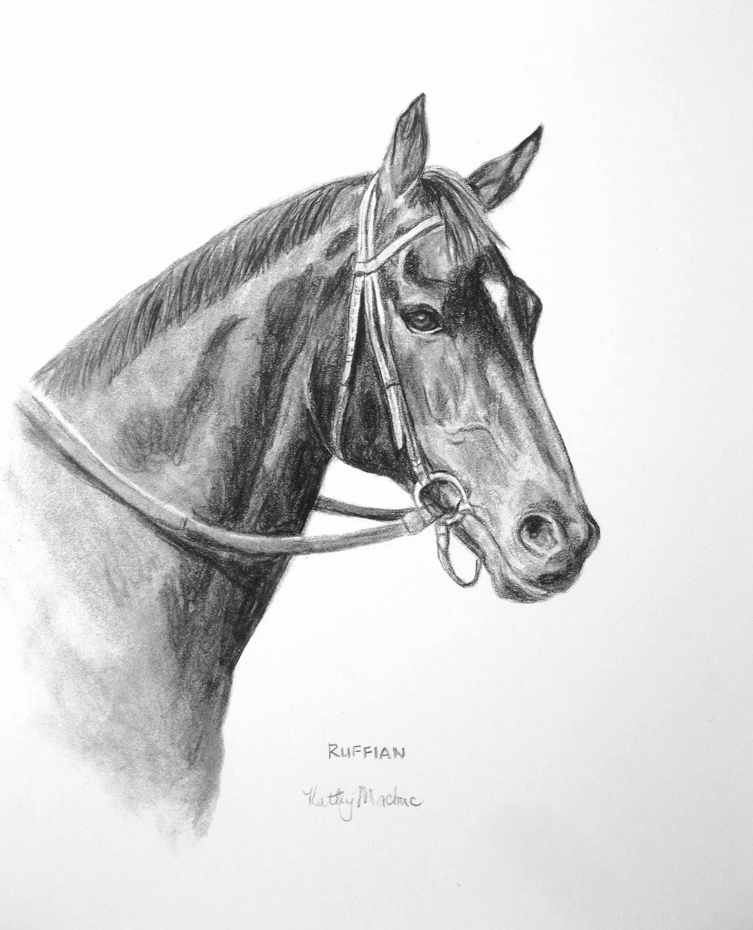 RUFFIAN Champion Filly Horse Racing Print - Etsy