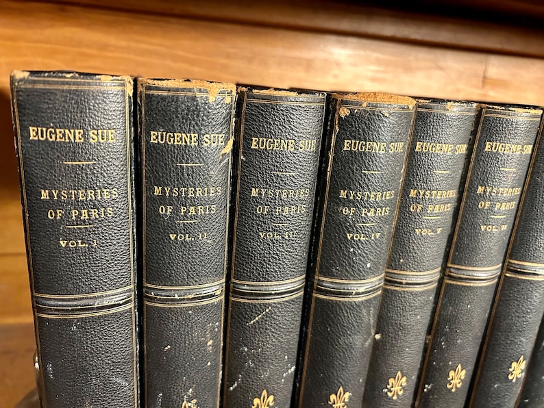 1880 Eugene Sue Works 11 Volumes Leather Bound - Etsy