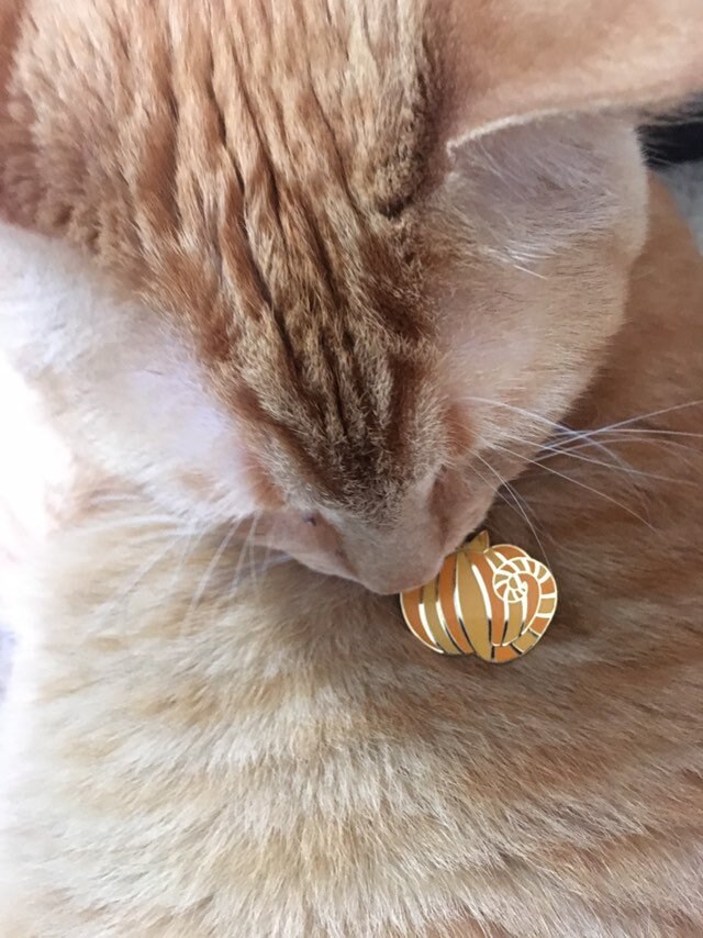 Pumpkin Cat Hard Enamel Pin | Etsy