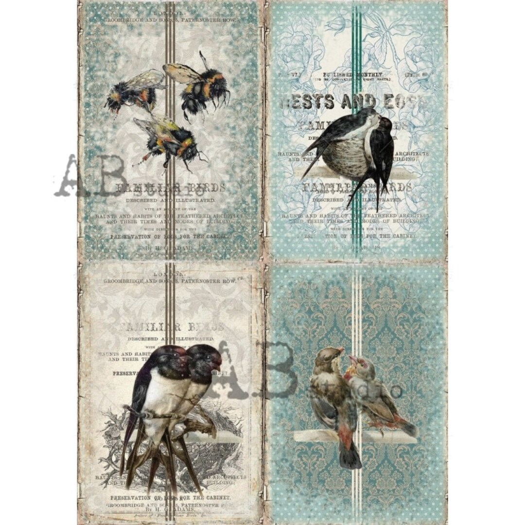 Bird and Bee Cards Decoupage Rice Paper, Bird Decoupage Art DIY Craft ...