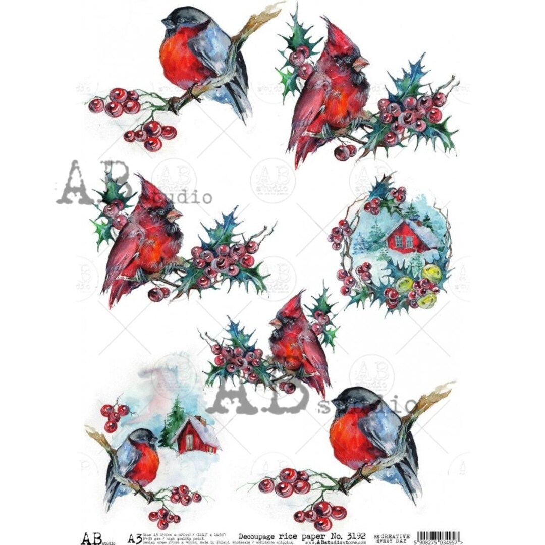 A3 Bird Medallions Decoupage Rice Paper AB Studio Decoupage Scrapbook ...