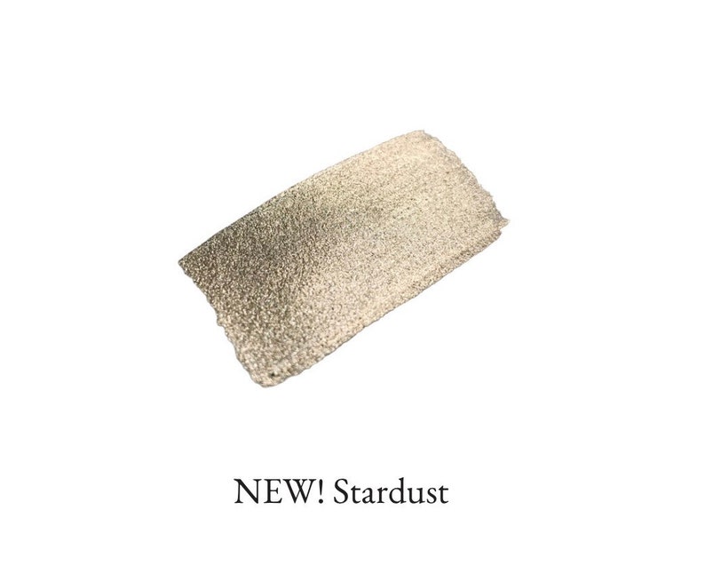 Stardust Paint Couture Metallic Paint Super Quick Shipping | Etsy