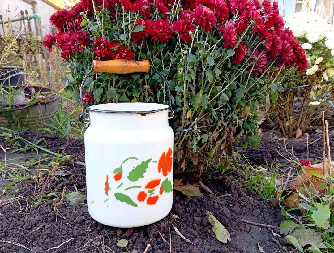Soviet Milk Can, Old Enamel White Enamel Can, Vintage Garden Decor ...