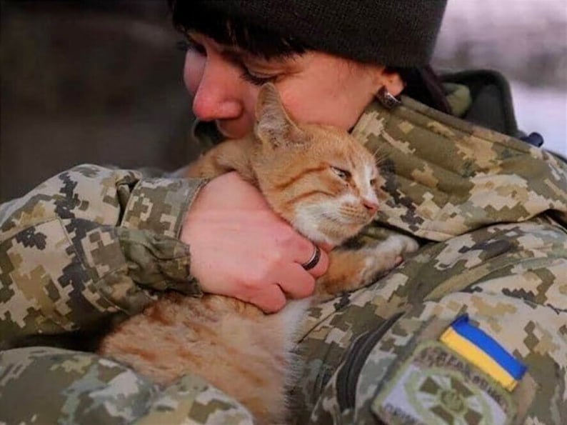 Ukrainian Army Animals for Peace Ukrainian Shop Photo of - Etsy
