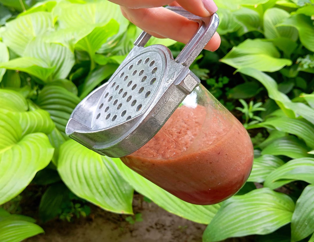 Jar Strainer, Seive for Jars, Clip-on Brine Strainer for Draining ...