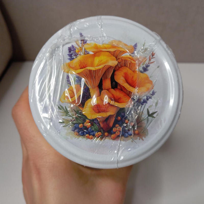 Pretty Jars With Lids Decorative - Etsy