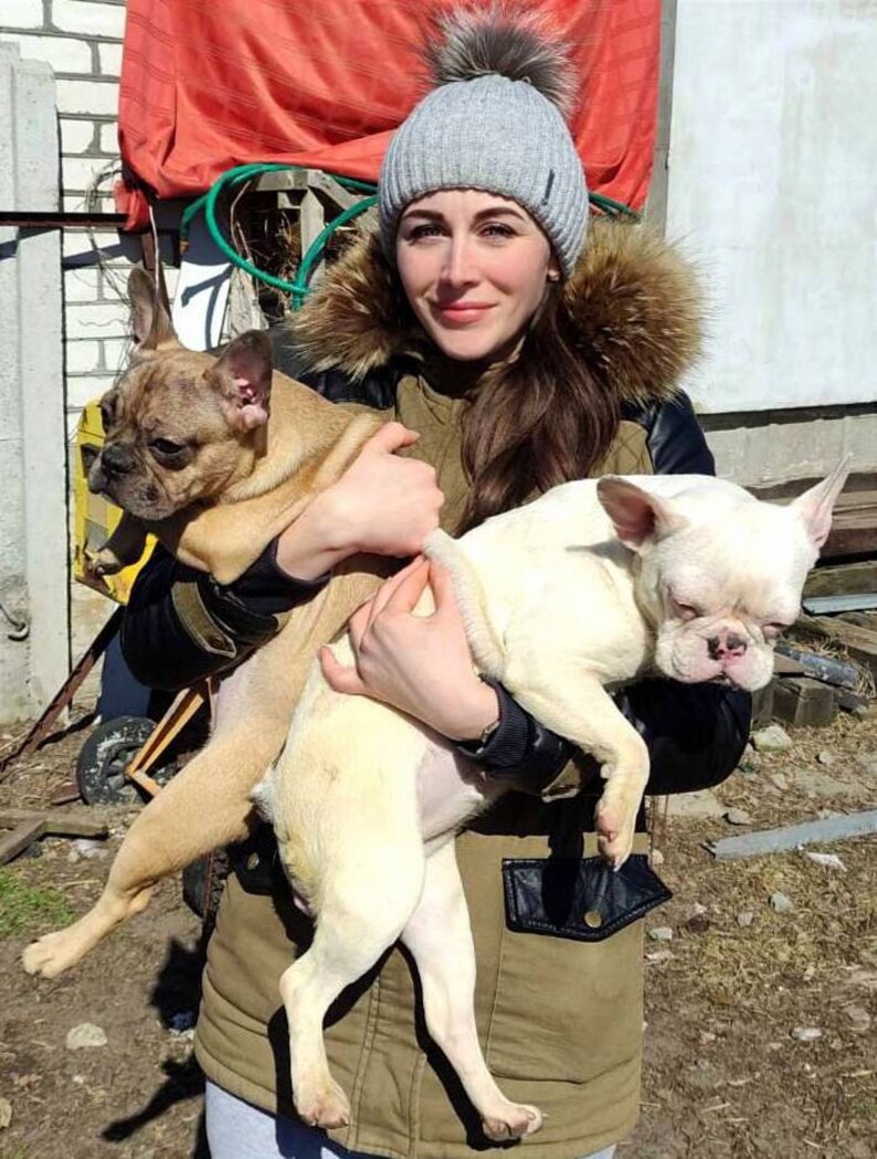 Ukraine Digital Ukrainian Animals Ukraine Peace for - Etsy