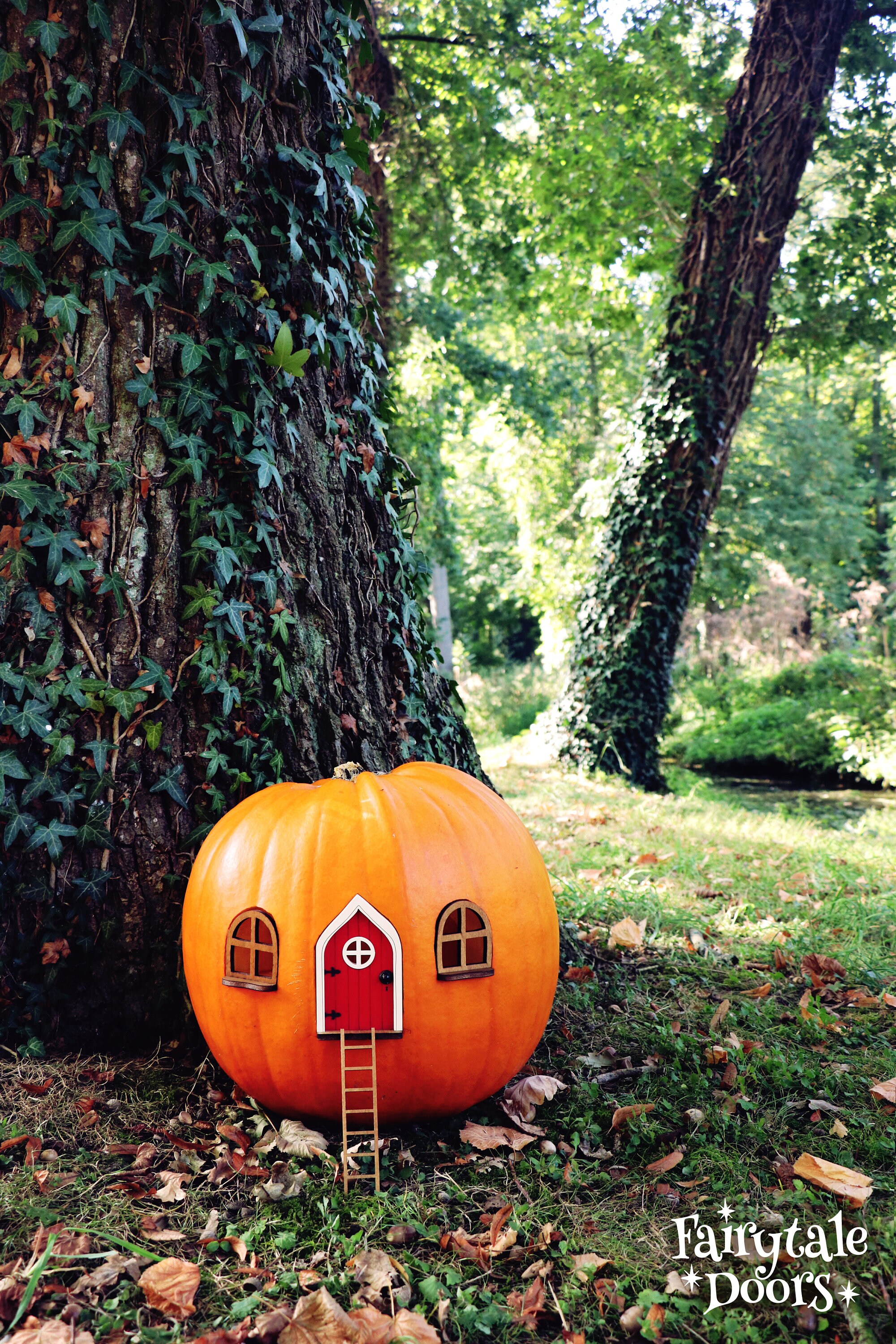 Fairy Pumpkin House Set With Red Door Pumpkin House - Etsy