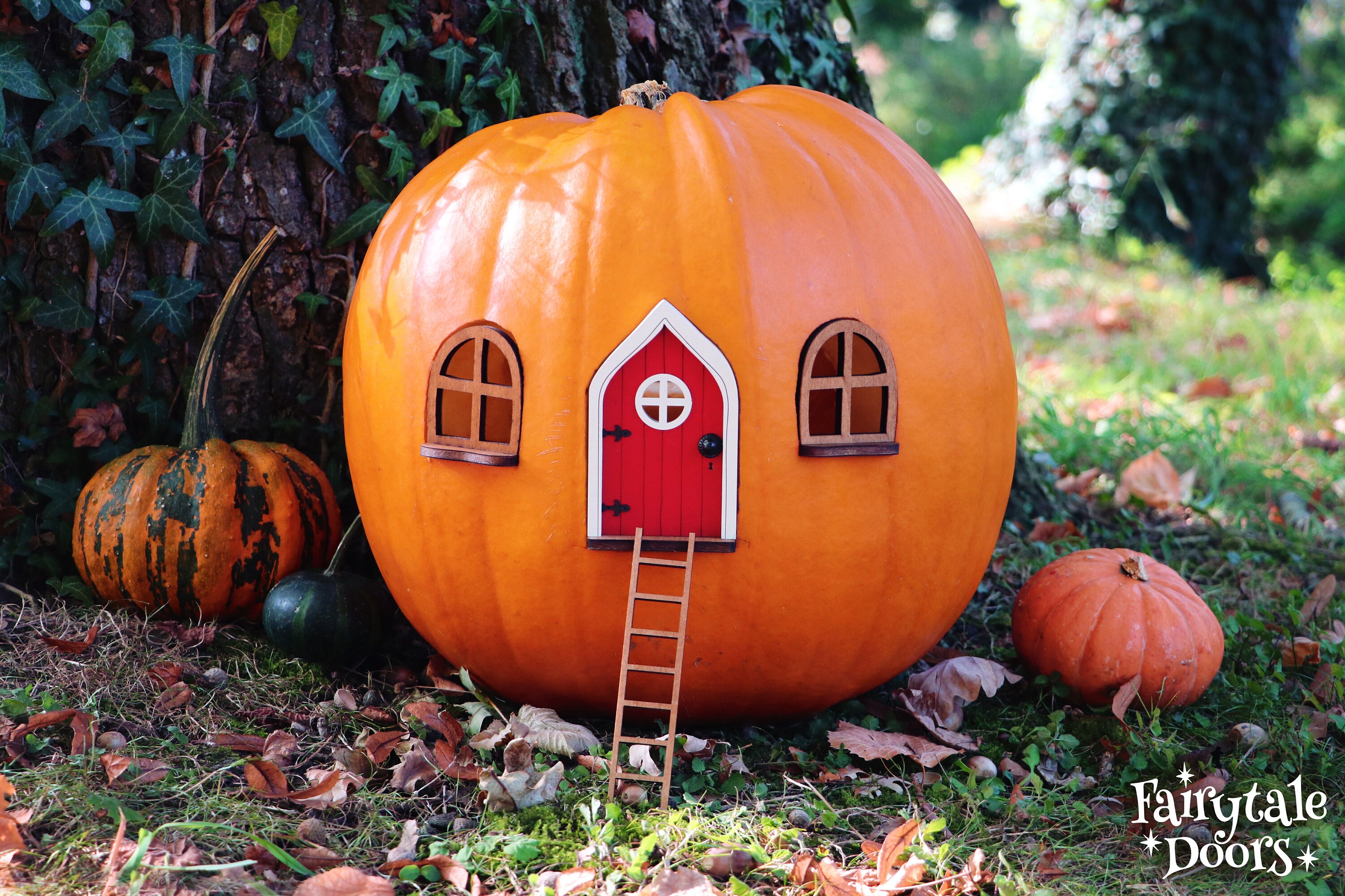 Fairy Pumpkin House Set With Red Door Pumpkin House - Etsy