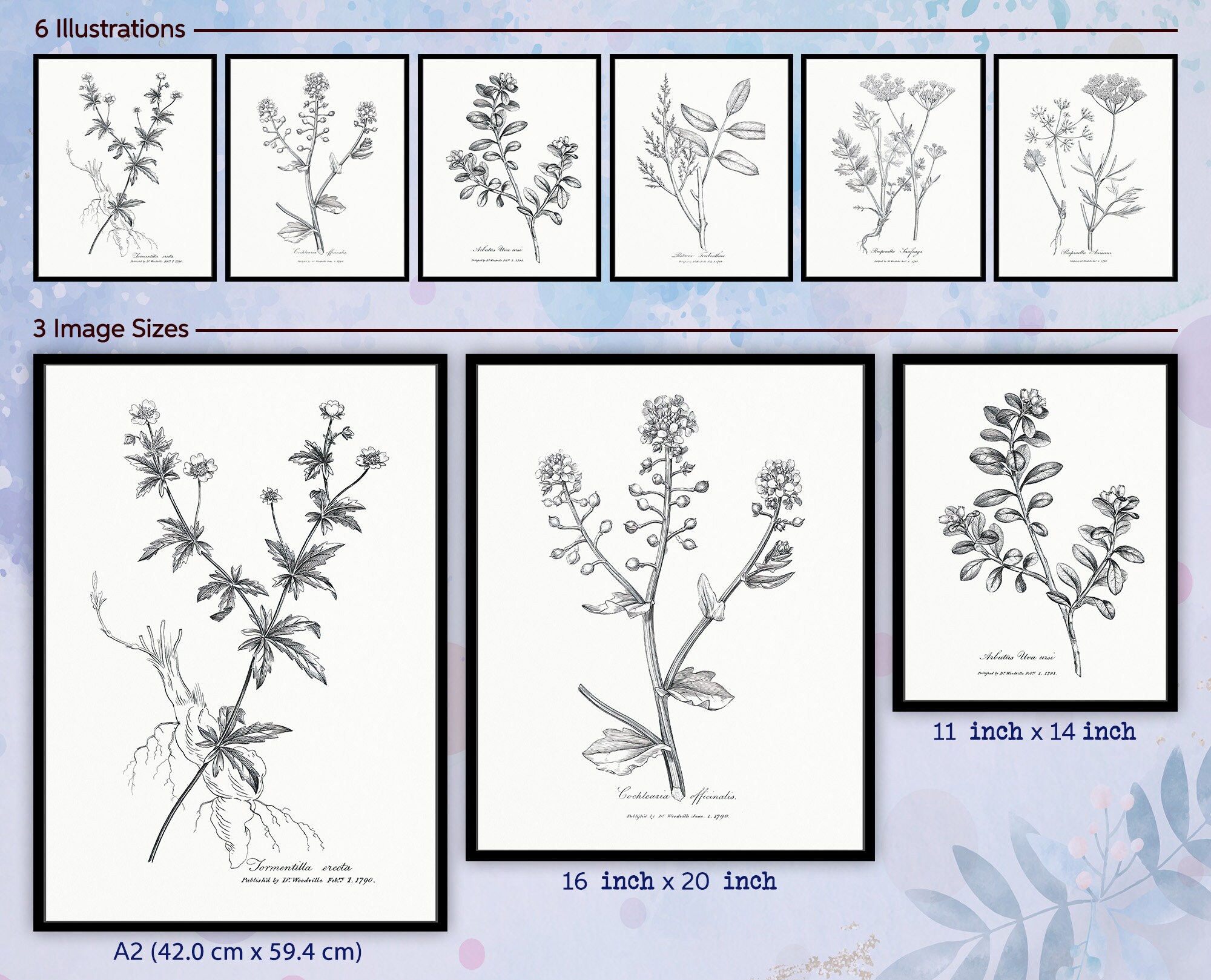 Set of 6 Vintage Botanical Wall Art. Botanical Study Prints. - Etsy