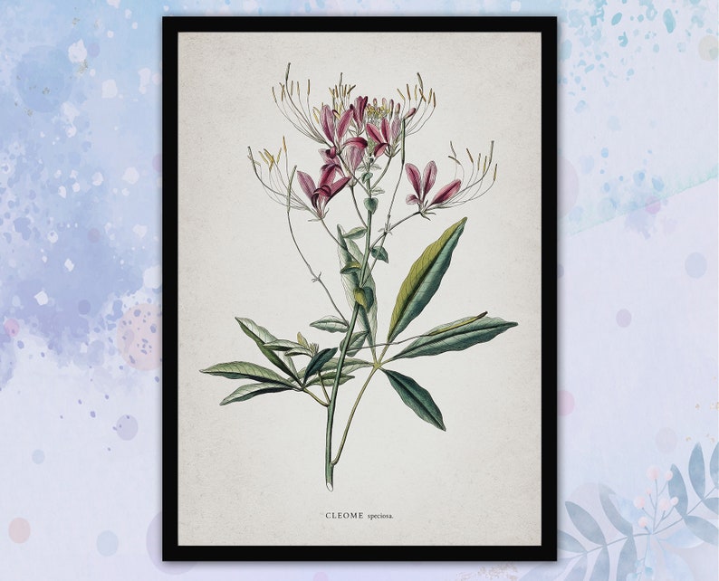 Set of 6 Vintage Botanical Prints Wall Art. Botanical Poster. | Etsy