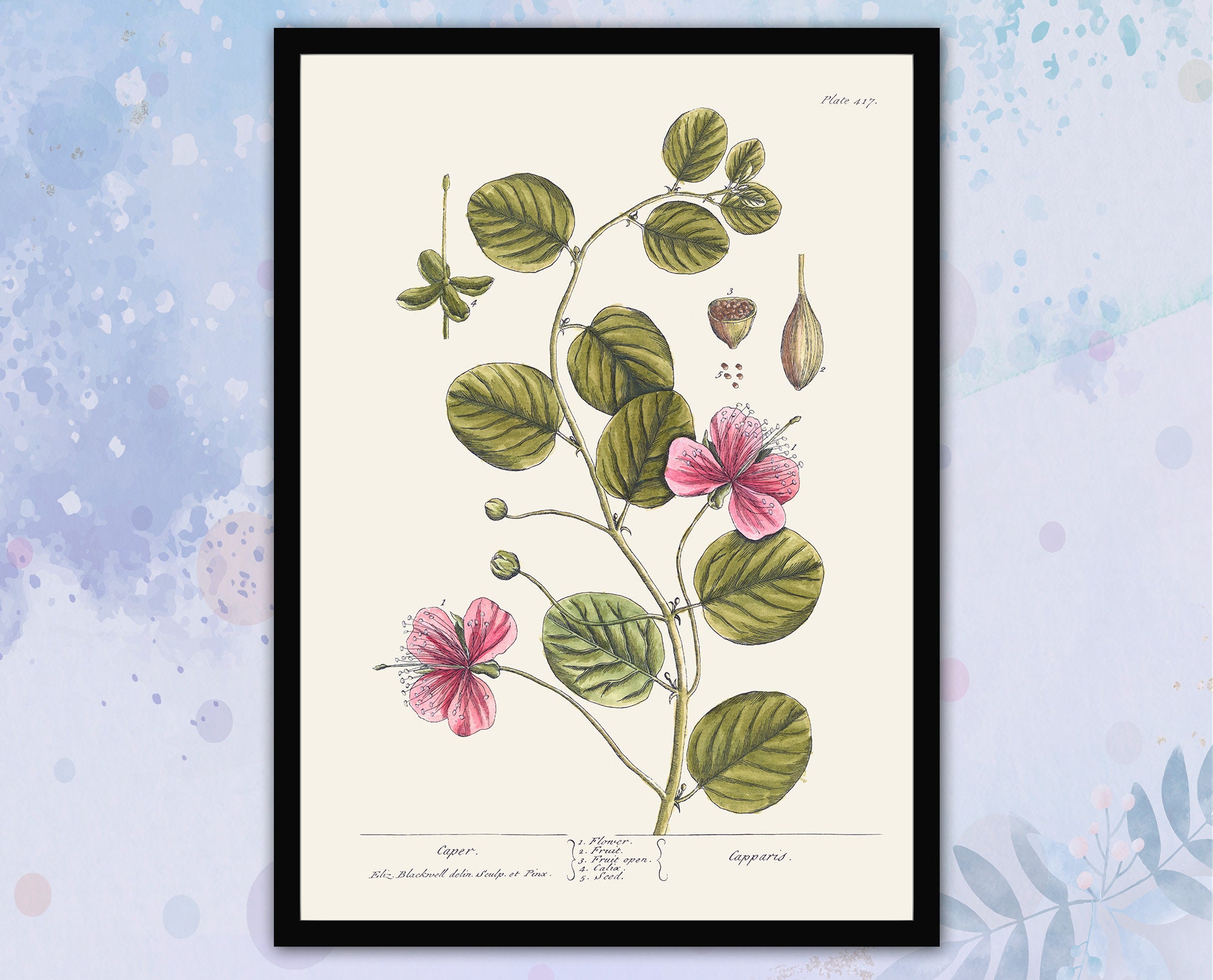 Set of 6 Vintage Botanical Prints Wall Art. Botanical Poster. | Etsy